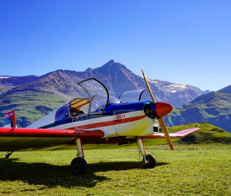 JODEL D113E